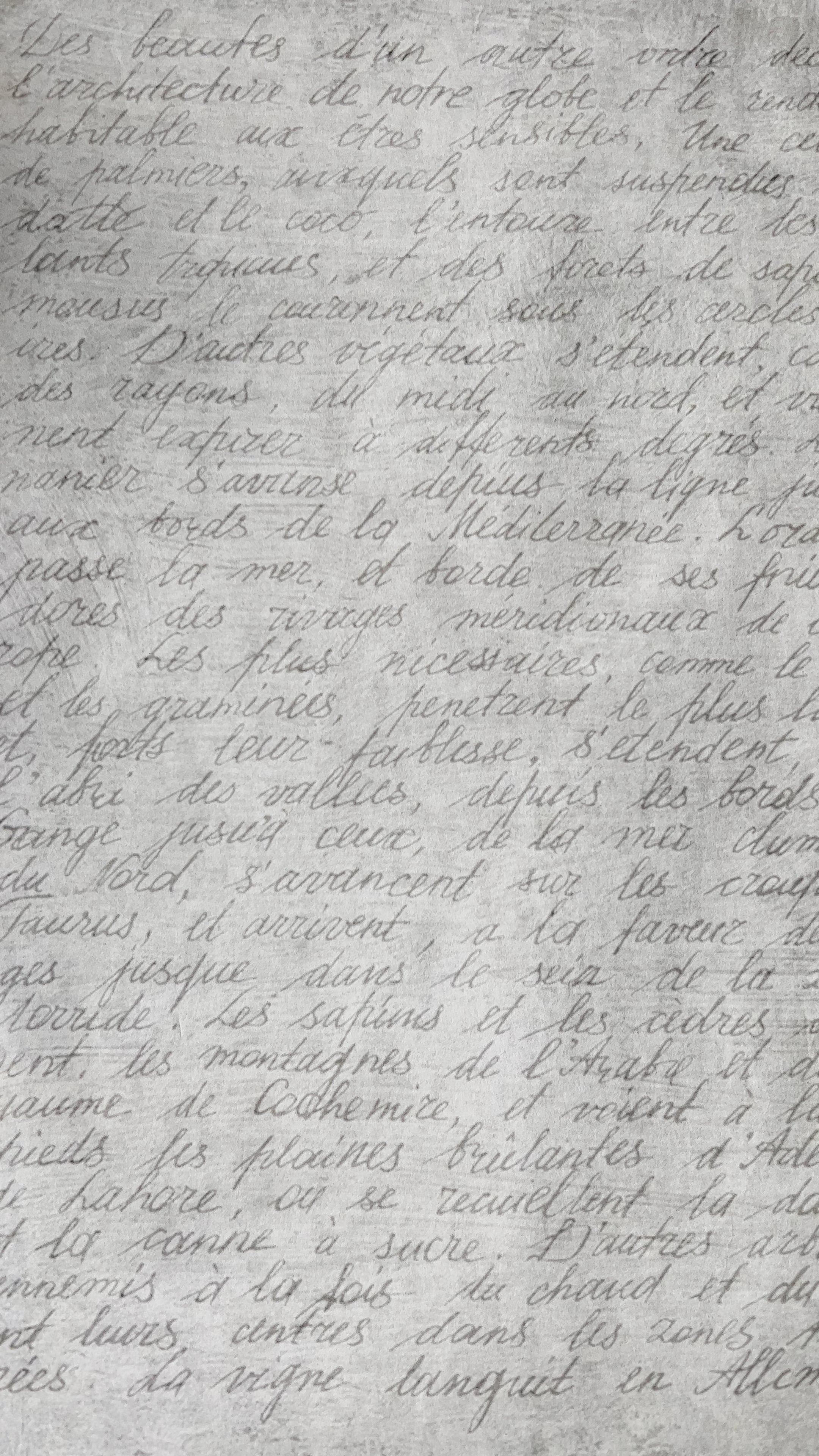 'Vintage Script' Rustic Script Decoupage Paper – Dare To Be Vintage