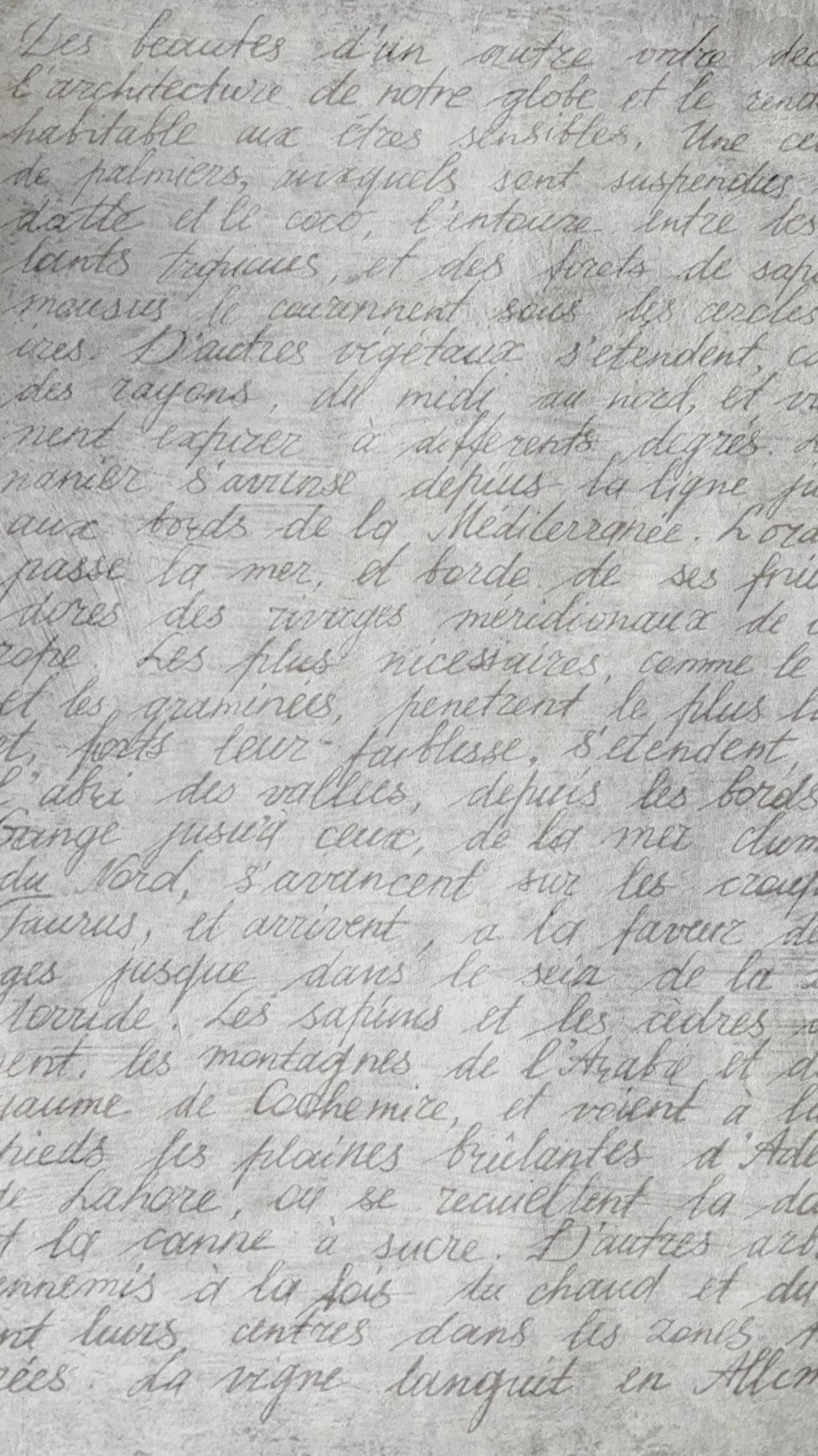 'Vintage Script' Rustic Script Decoupage Paper – Dare To Be Vintage