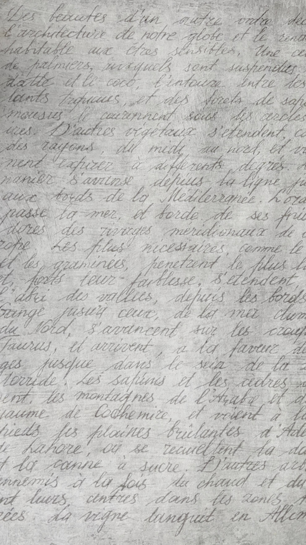 'Vintage Script' Rustic Script Decoupage Paper – Dare To Be Vintage